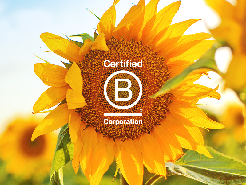 We've Re-Certified As A B Corp: What That Means - Community Natural Foods