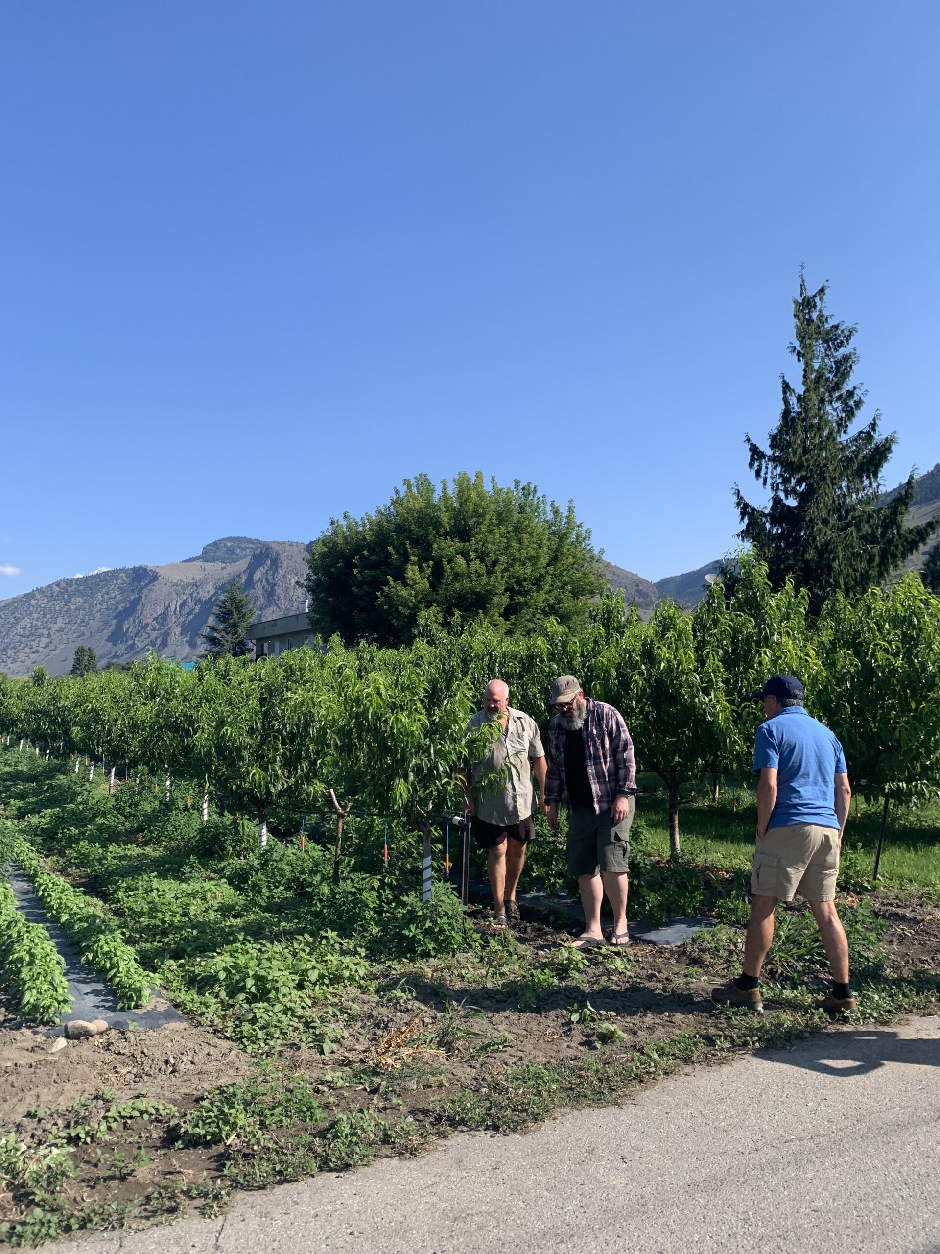 Organic Farm Direct: Forrests Organics - Community Natural Foods