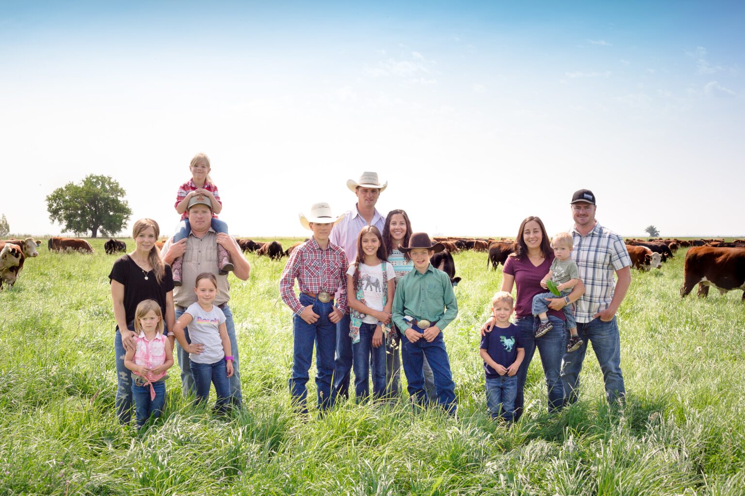 Organic Farm Direct: Sunworks - Community Natural Foods