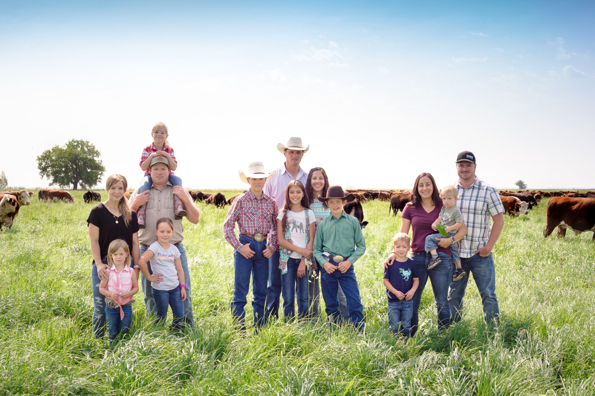 Organic Farm Direct: Sunworks - Community Natural Foods